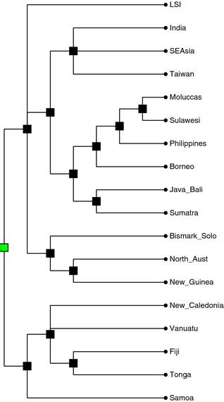 Intersection Tree From MPT RI Download Scientific Diagram