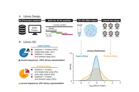 Design And Characterization Of Phip Seq Library A All Human Protein