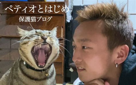 猫の種類・柄の特徴まとめ｜キジトラ・茶トラ・三毛猫の性格と違いを解説 猫オタクのはじめと天才猫ペティオ