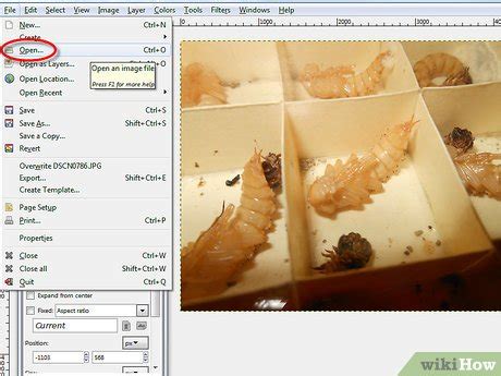 How To Fix Perspective In Gimp 5 Steps With Pictures WikiHow Tech