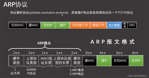 【计算机网络】 Arp协议和dns协议