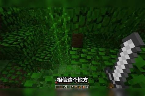 我的世界：探索丛林神庙，里面的宝藏让人眼前一亮！