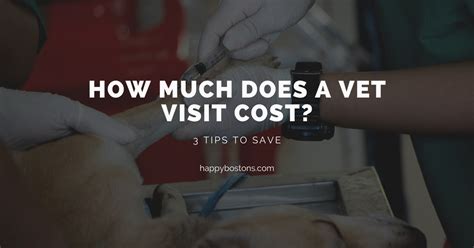 What Does An Average Vet Visit Cost At Kristina Hertz Blog