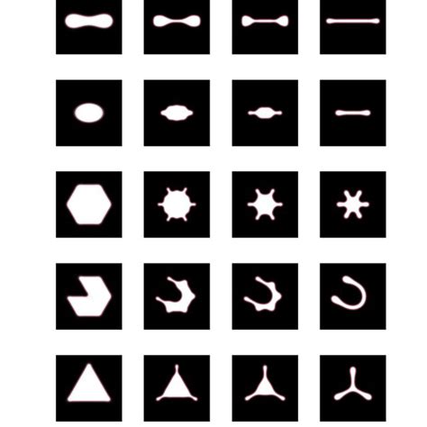shape evolution of other shrinkage examples with different initial