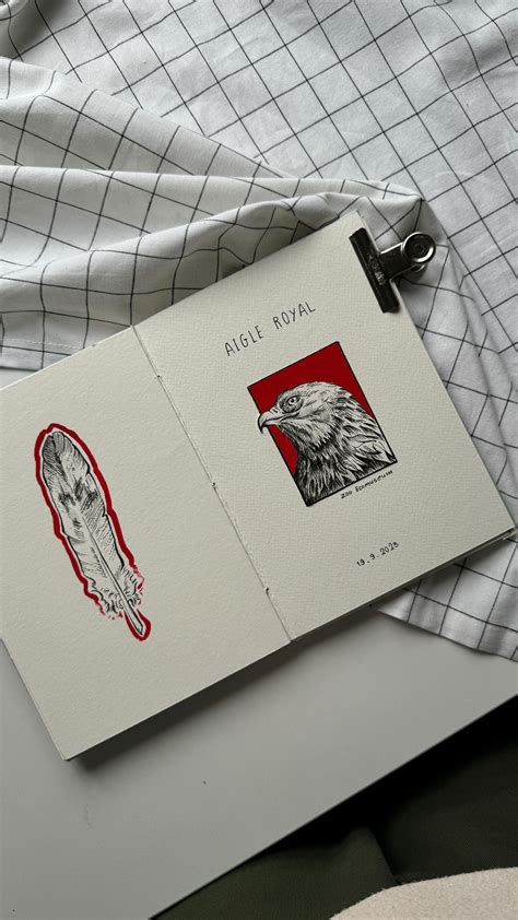 ‎هدیه درخش دوره اسکچ‎ ‎یه بارم تنوع بدیم با راپید اسکچ بزنیم🤪 فک کنم