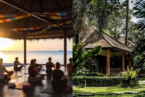 7 Incredible Wellness Retreats In Thailand Hive Life Magazine