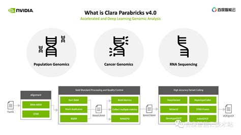 gpu 加速药物研发与基因组学分析 百度开发者中心