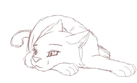 Pin By Bookdragon On Warrior Cats Cat Drawing Tutorial Warrior Cat