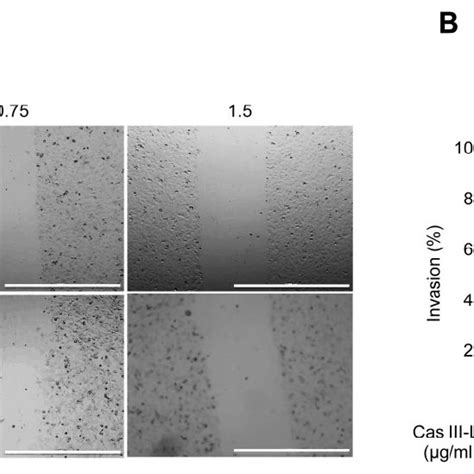 Cas Iii La Inhibits Cell Migration And Invasion In Glioma Cells A