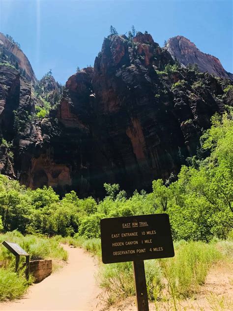 Why You Should Hike Zion Observation Point Trail