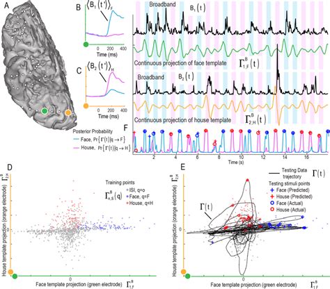 Decoding Stimulus Class And Onset Time From A Continuous Data Stream In