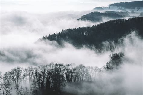 Natural Mist ナチュラルミストクラス オンライン Dbluk