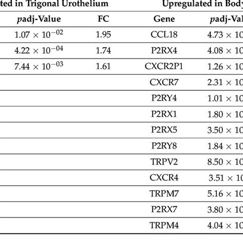 Summary Of The Reactome Categories And Functional Pathways Enriched In Download Scientific