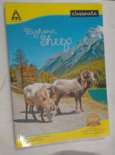 White Paper Classmate Fullsacpe Notebook Single Line 304 Pages Pack Of 12 For College At Rs