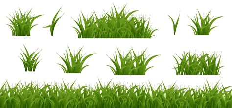 Four Grass Clumps Representing Different Seasons Vector Image
