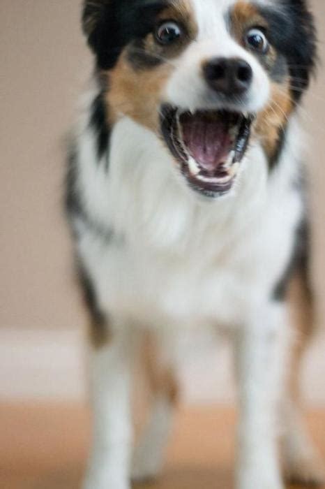 Ermergerd Its Friday Imgur