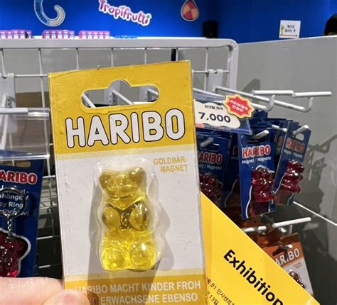 서울 인사동볼거리 인사센트럴뮤지엄 하리보 골든베렌의 100주년 생일 기념전 네이버 블로그