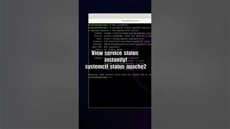 Tech Hack Service Status Viewer Sysadmin Bash Linuxcommands Linux