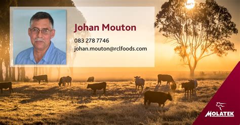 Molatek Bulvoeding — Johan Mouton