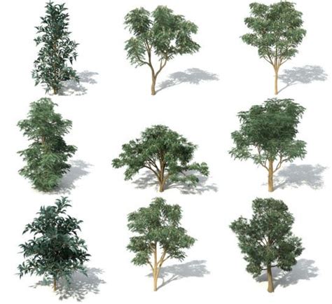Revit 3d Rpc Tree Families Samples Library Free Download Revit Dynamo Revit Trees Revit