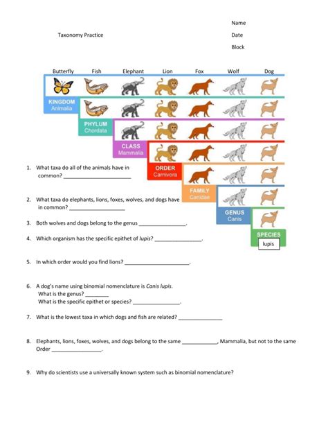 Taxonomy Practice Worksheet