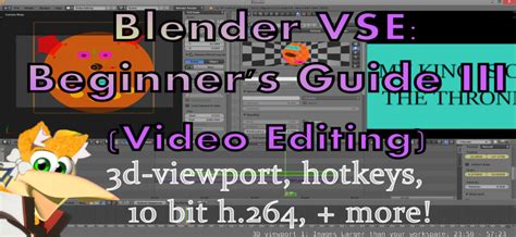 Blender Vse Guide Iii 3d Viewport Hotkeys 10 Bit H264 More