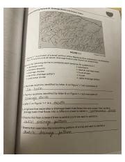 Lab Module Pdf Course Hero