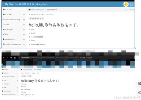 渗透测试之越权漏洞详解 水平越权 垂直越权 目录越权 Sql跨库查询越权 以及未授权漏洞 一篇文章说明白 技术栈