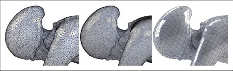 The Left Image Shows The Reduced Mesh The Middle Images Shows The Download Scientific Diagram