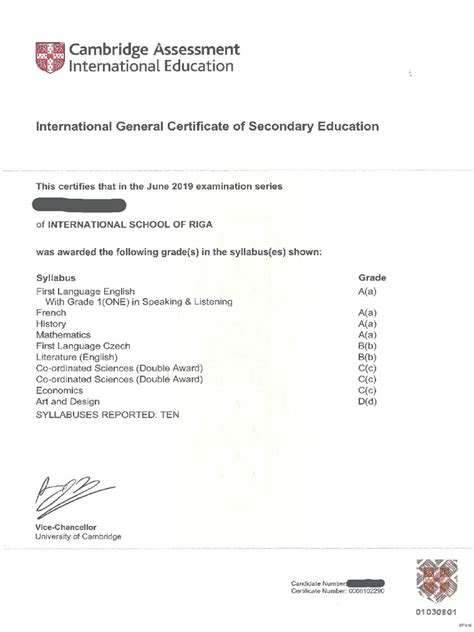 3 Igcse Sample Certificate Pdf