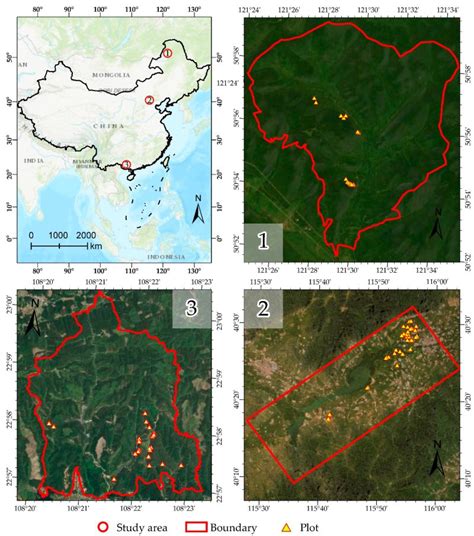treespecies classification using pointnet remote sensing mdpi