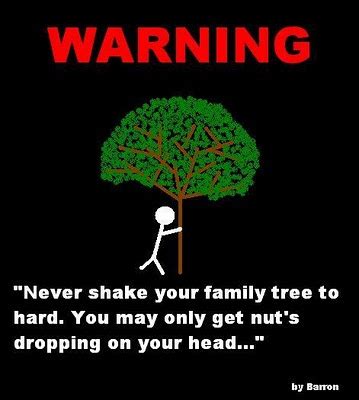 Funny Tree Quotes QuotesGram