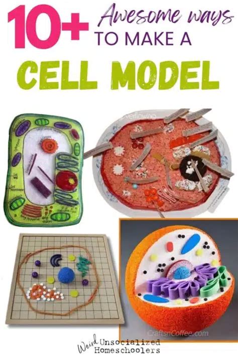 Super Fun Ways To Make A Cell Model Weird Unsocialized Homebabeers