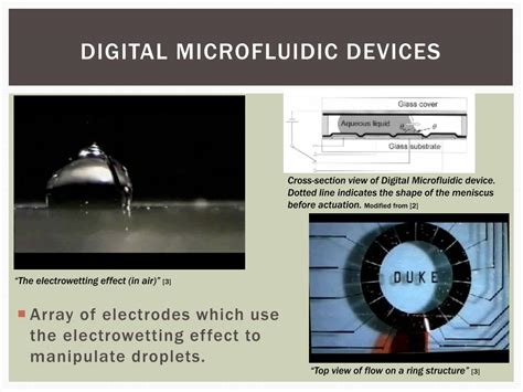 Ppt Group R14300 Digital Microfluidics Powerpoint Presentation