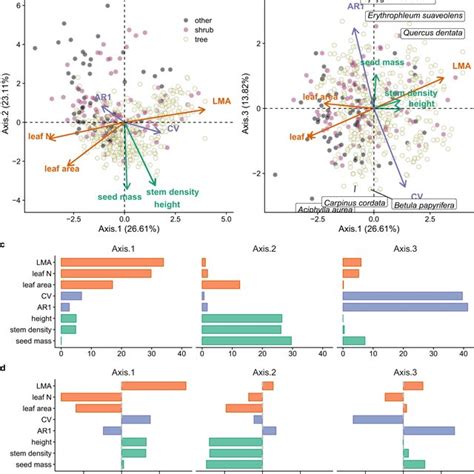 Masting Metrics Coefficient Of Variation Cv And Lag 1 Temporal