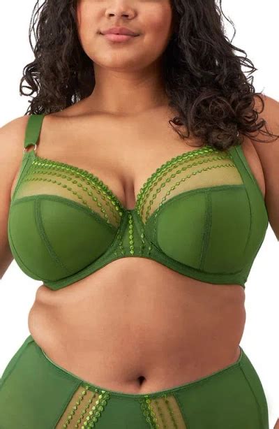 Elomi Matilda Full Figure Underwire Plunge Bra In Green Jungle Modesens