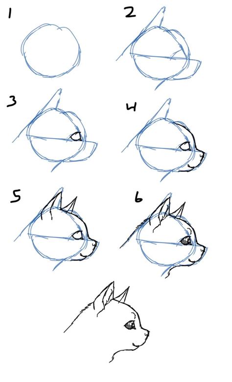 How To Draw A Cat Face Step By Step