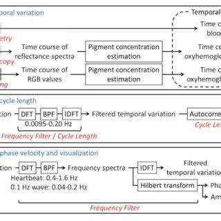 Flow Chart Of The Analysis Framed Rectangles Represent Data Download Scientific Diagram