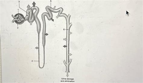 Solved Use Figure 26 2 To Answer The Following Questions