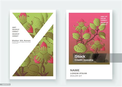 딸기 패턴 디자인 템플릿 제품 손으로 그린 레드 베리 귀여운 트렌디한 어두운 배경에 꽃이 만발한 녹지 덤불 그래픽 일러스트레이션 웨딩 초대장 포스터 카드 표지 제품 벡터 0