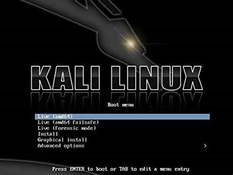 Kali Linux Kali Llinux Backtrack 16gb Usb Safe And Easy To Use New Release Kalilinux 1 0 9