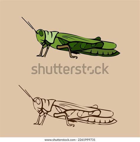 Grasshopper Vector Drawing Eps 10 Stock Vector Royalty Free