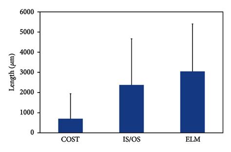 mean lengths of the cone outer segment tips cost photoreceptor inner
