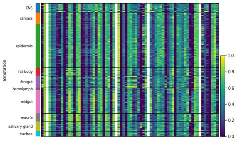 developing drosophila stereo seq — spagtl 0 0 1 documentation