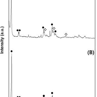 XRD Patterns Of The A C OCP And B S OCP The OCP And HA Peaks Are Download Scientific