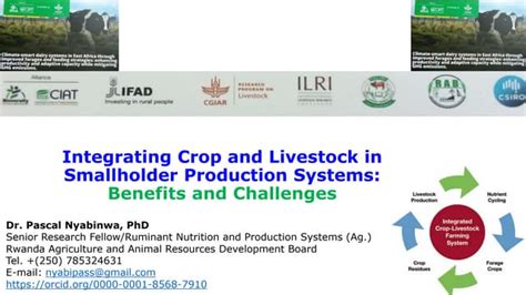 Integrating Crop And Livestock In Smallholder Production Systemsdr Pascal Nyabinwapptx