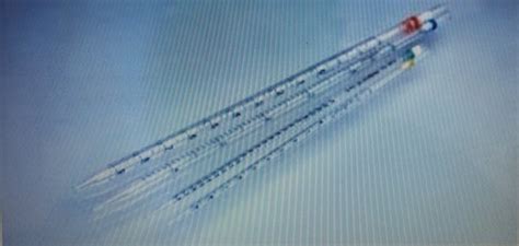 Biology Lab Midterm Flashcards Quizlet Biology Lab Midterm Flashcards Quizlet