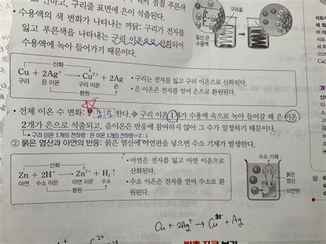 산화 환원 질산 은 수용액 전체 이온 수 변화 질문 지식in