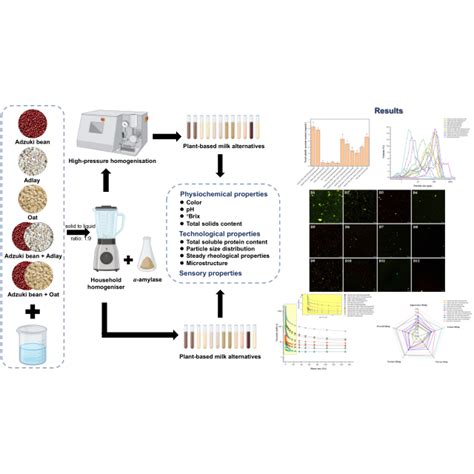 The Physiochemical And Sensory Properties Of Plant Based Milk Made From Download Scientific