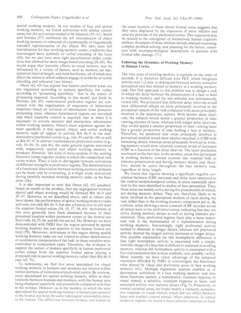 A Neural System For Human Visual Working Memory Nas Colloquium